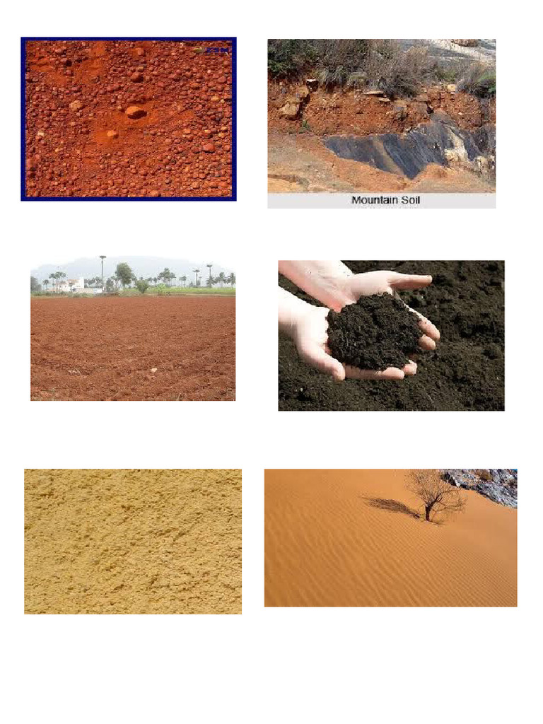 Types of Soil | PDF