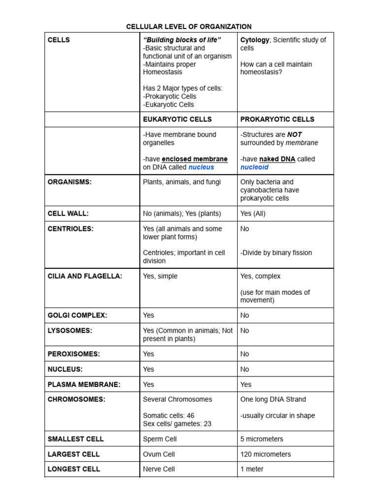CELLULAR LEVEL OF ORGANIZATION | PDF