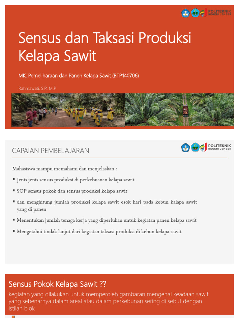 11_Sensus-dan-Taksasi-Produksi-Kelapa-Sawit | PDF