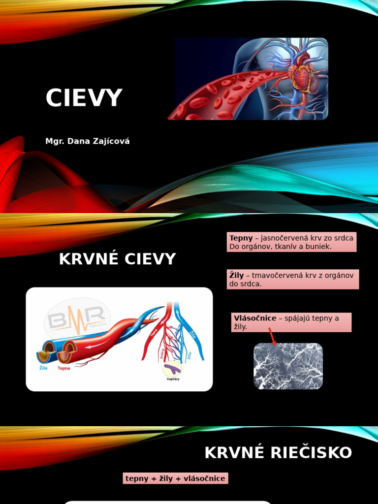 Cievy 2 | PDF