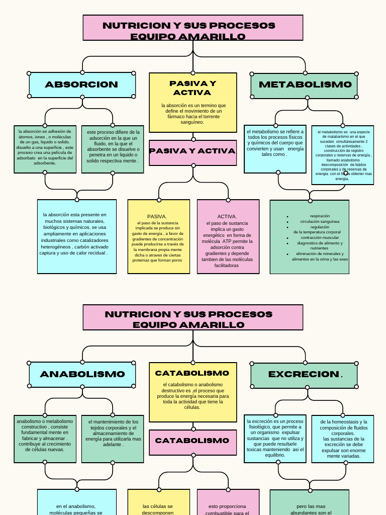 Mapa Conceptual Equipo Amarillo | PDF | Adsorción | Metabolismo