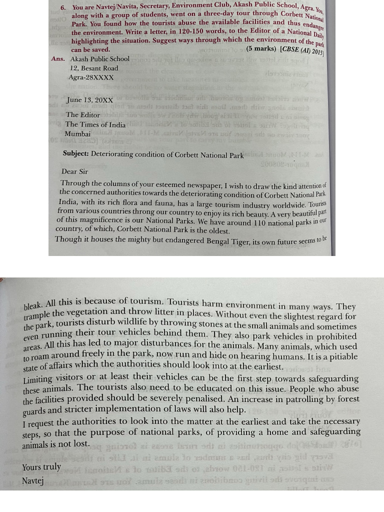 Suicide Letter | PDF