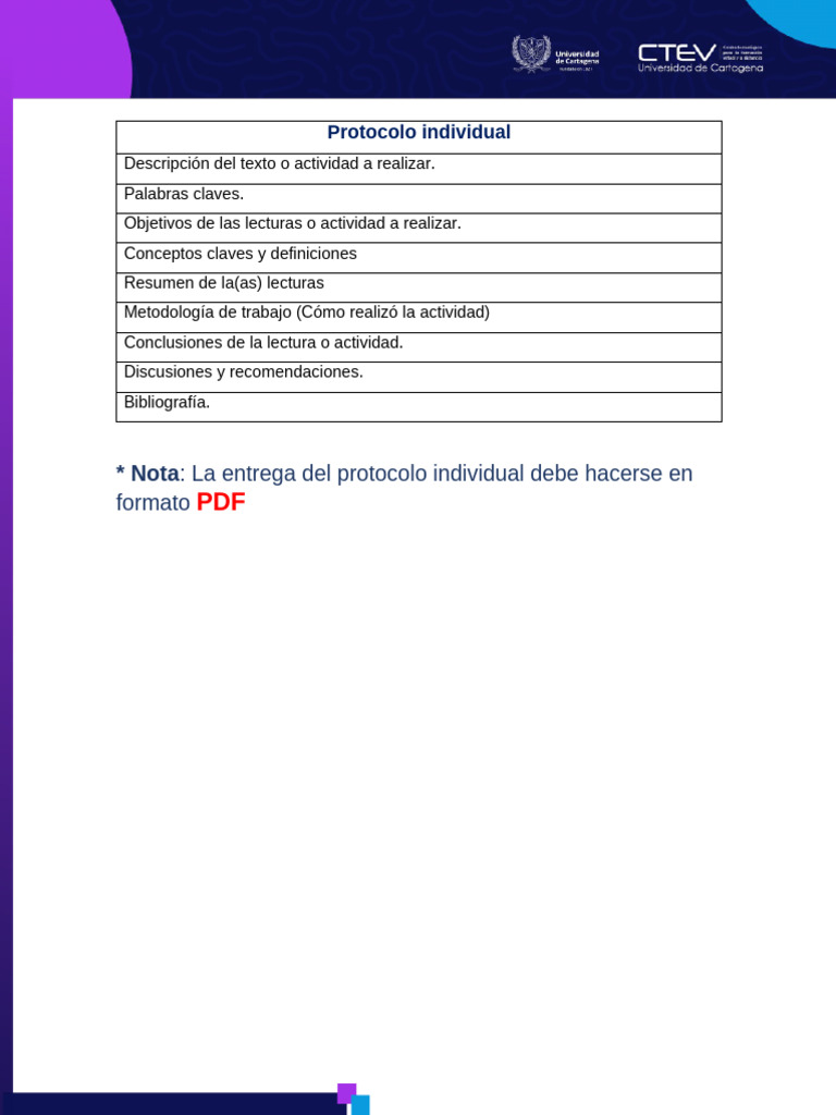 PLANTILLA PROTOCOLO INDIVIDUAL | PDF