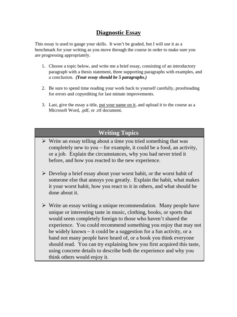 ENG101 Diagnostic Essay | PDF