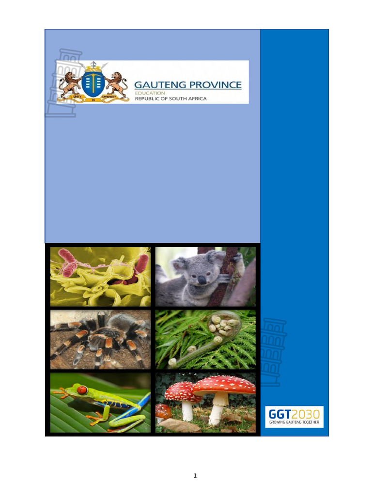 GP Life Sciences Grade 11 Remote Learning Term 1 To 4 | PDF