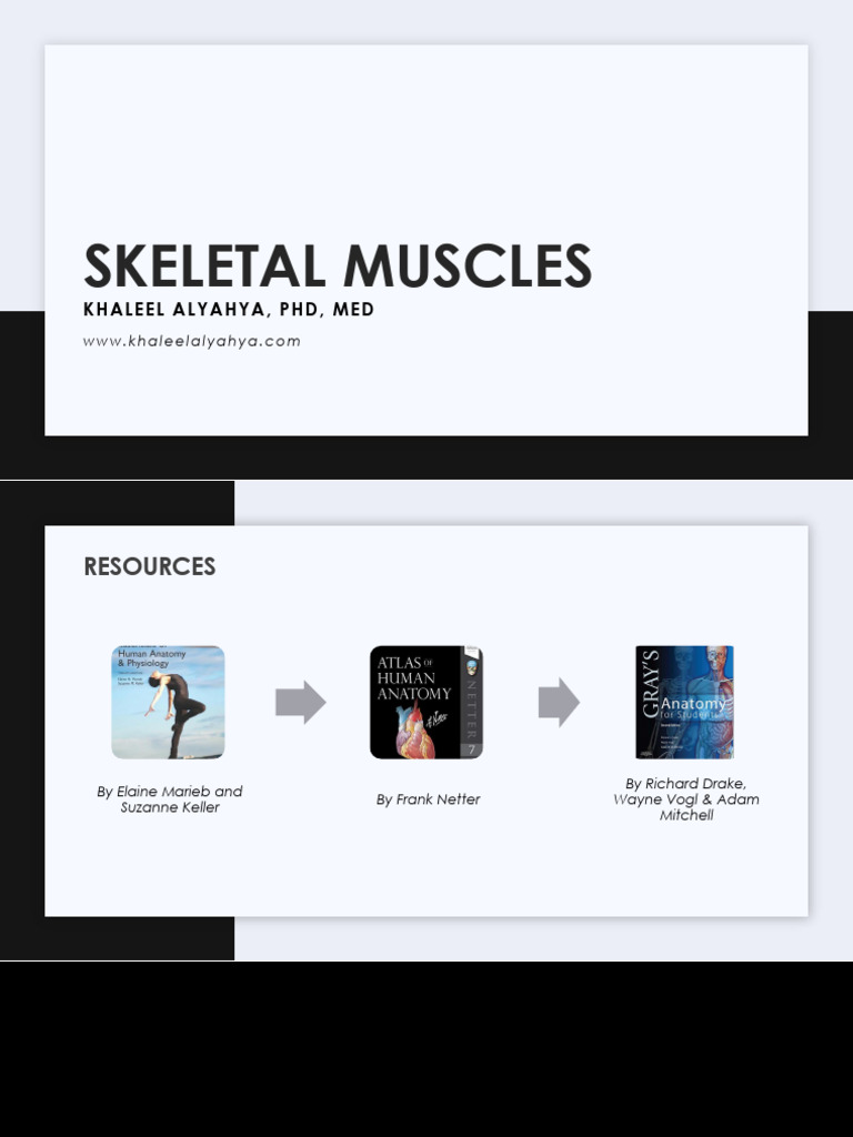 l2) Skeletal Muscles | PDF