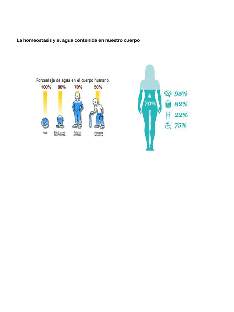 El Agua para La Vida - Homeostasis | PDF