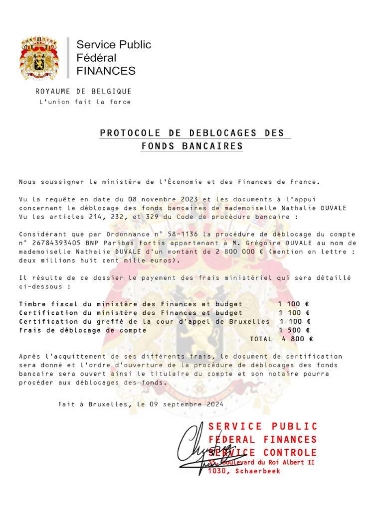 Protocol e | PDF