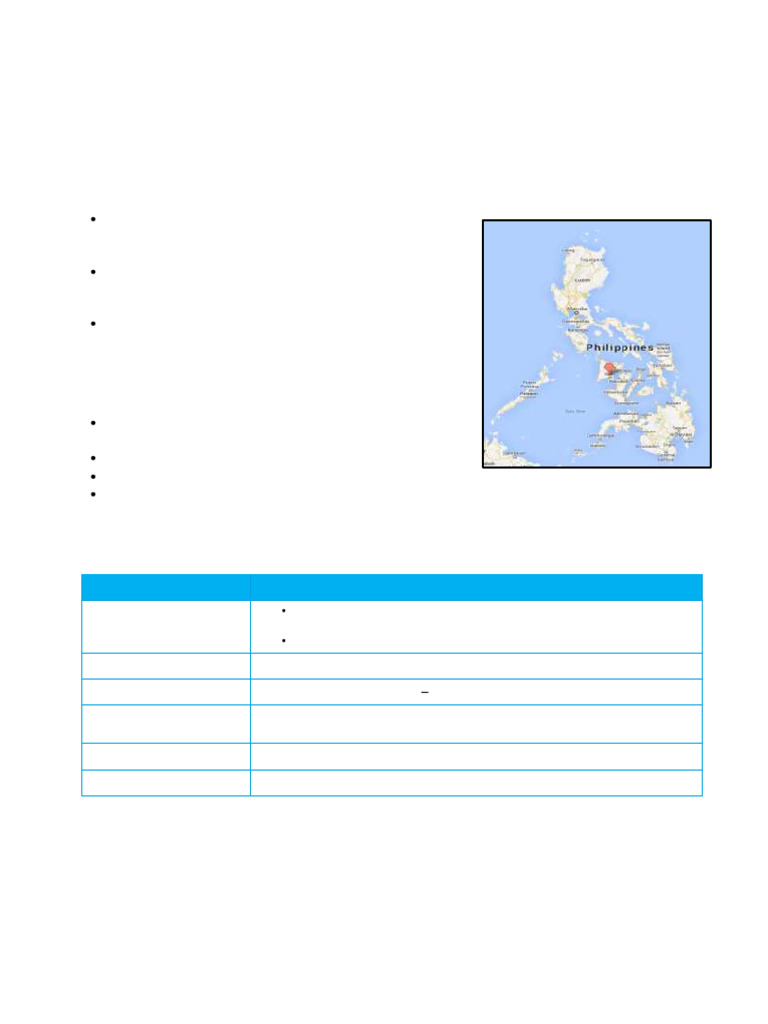 Iloilo-Airport-Project-Brief | PDF