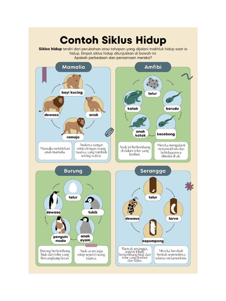 Siklus Hidup | PDF