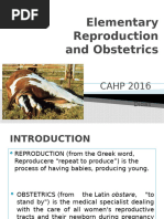 Laboratory-3 Reproductive System of Ruminants | PDF | Uterus | Penis