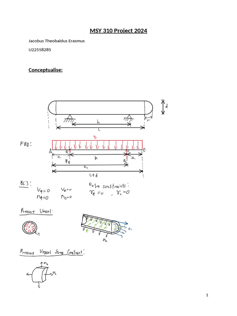 MSY 310 Project 2024 | PDF