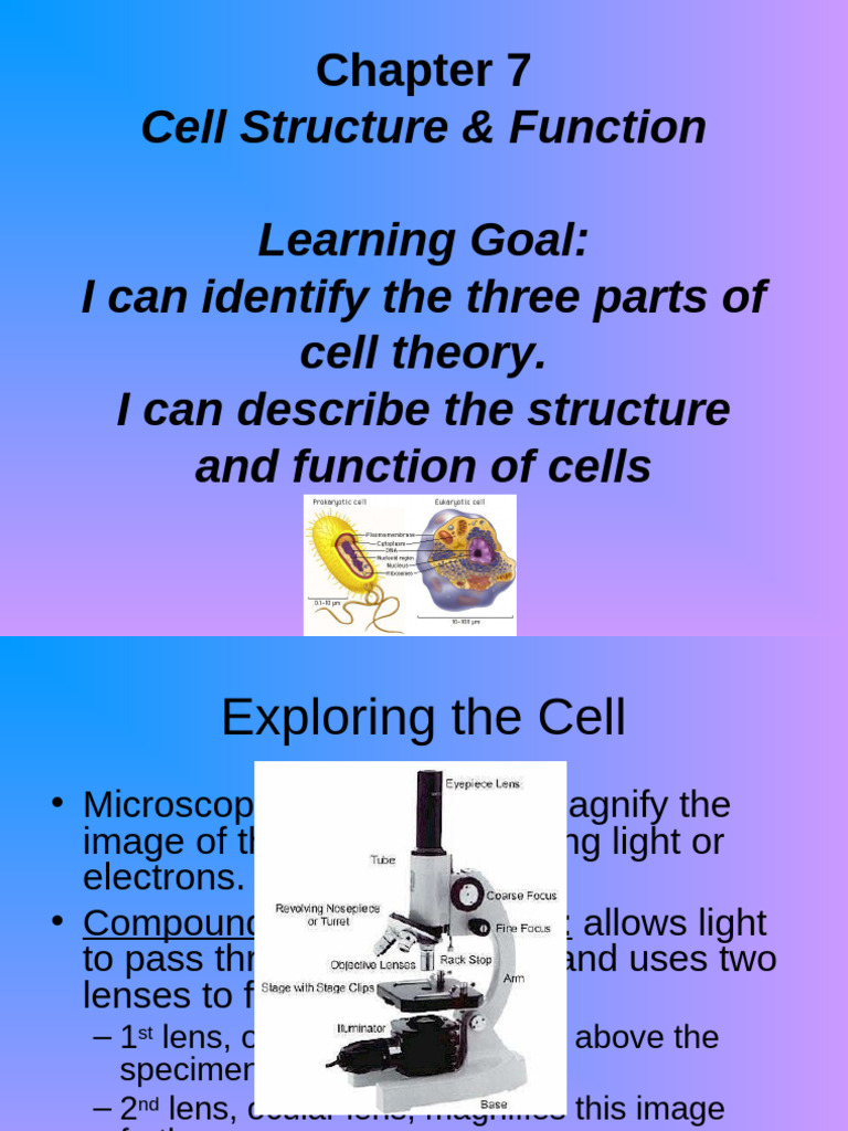 Ch 7 Cell Structure And Function Pdf
