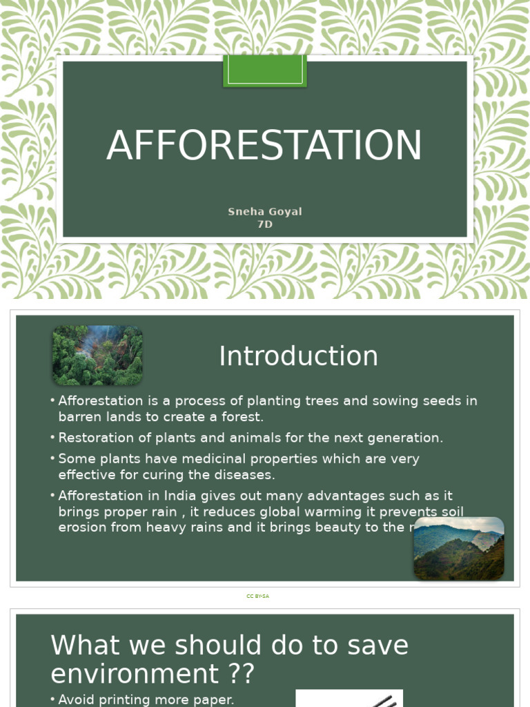 Afforestation Class 7d Sneha Goyal SST (Autosaved) | PDF