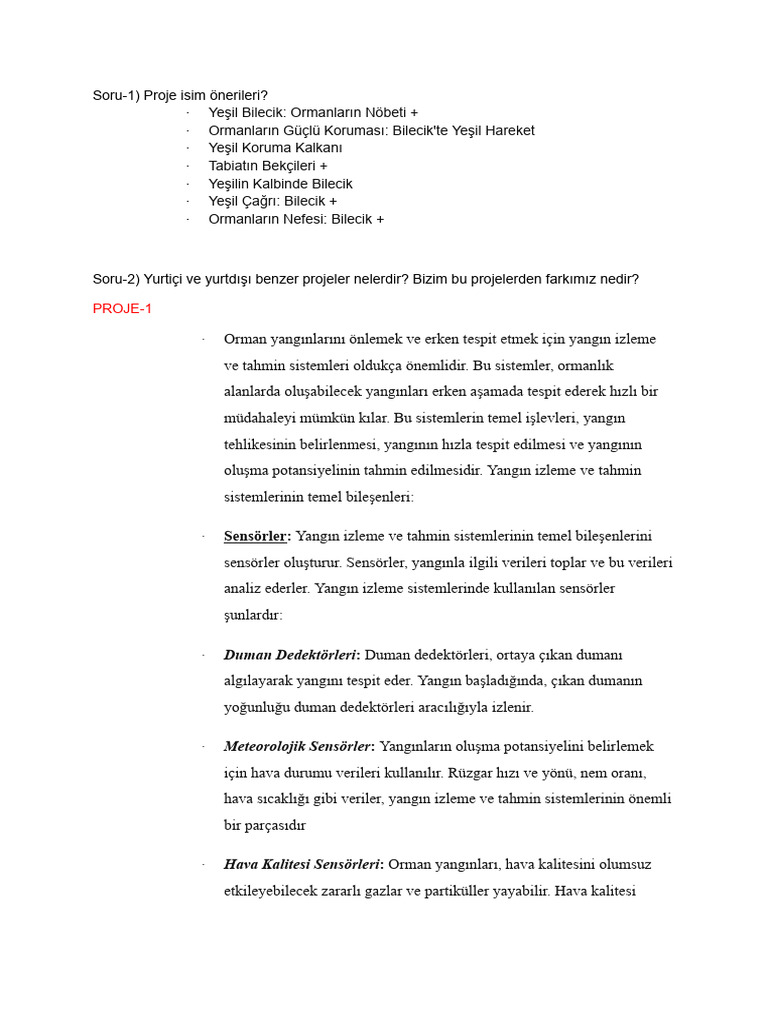 Bilişimde Proje Yönetimi | PDF