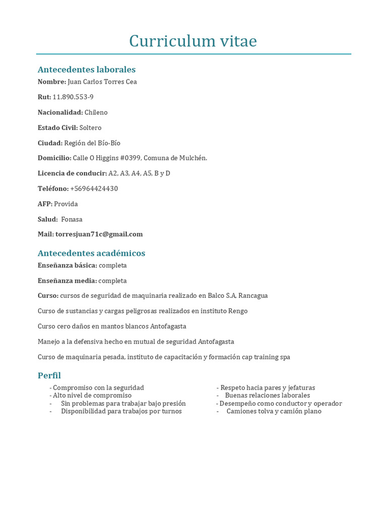 Curriculum Juan Torres | PDF