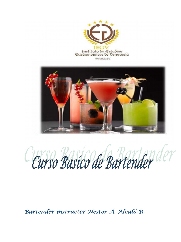 Guia Básica de Bartender | PDF