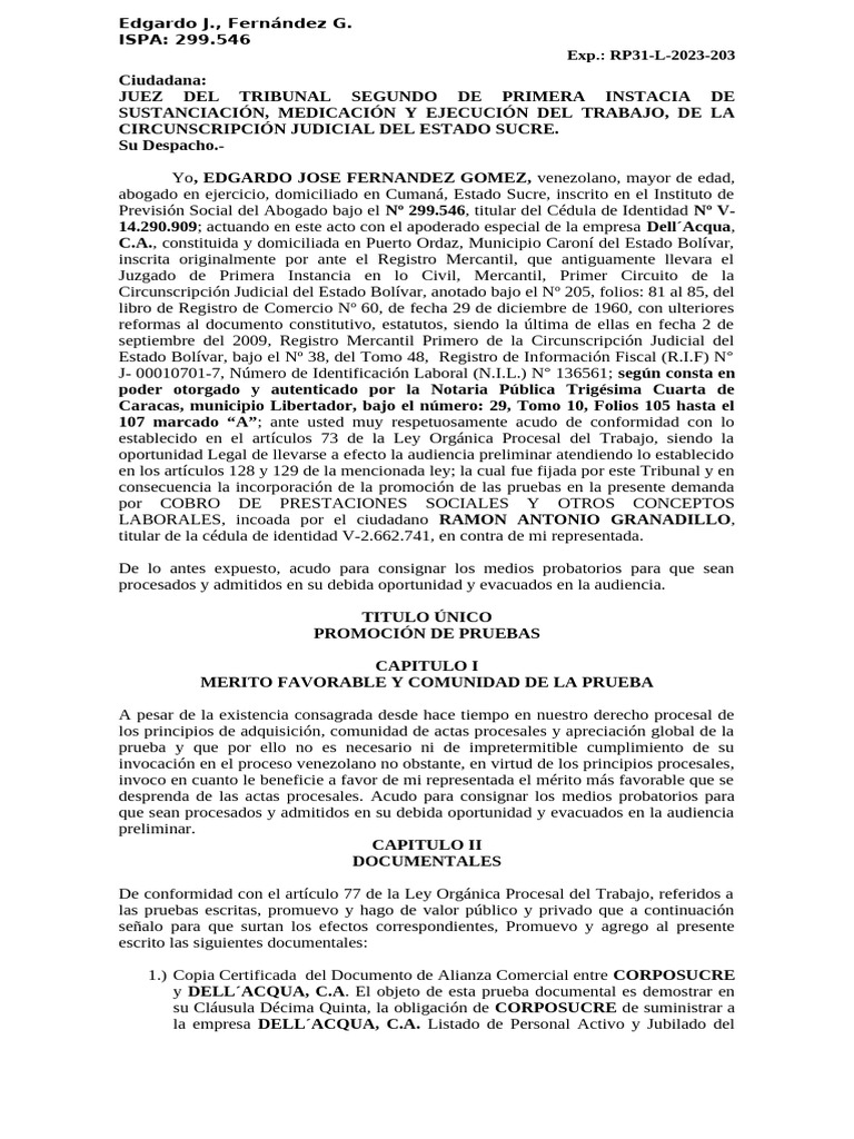 Promoción de Pruebas Juicio Laboral Del Ciudadano Ramon Granadillo Rev 2 | PDF | Documento de ...