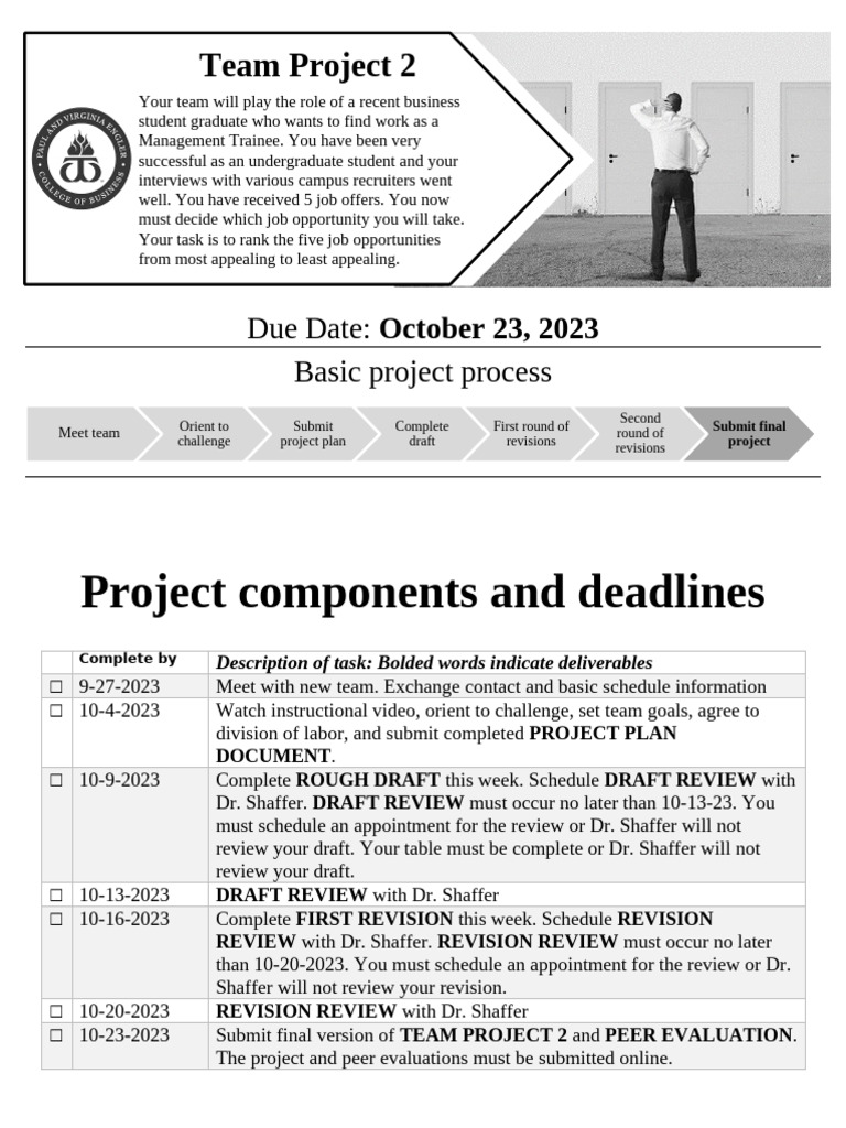 Team Project 2 Checksheet 2023 | PDF