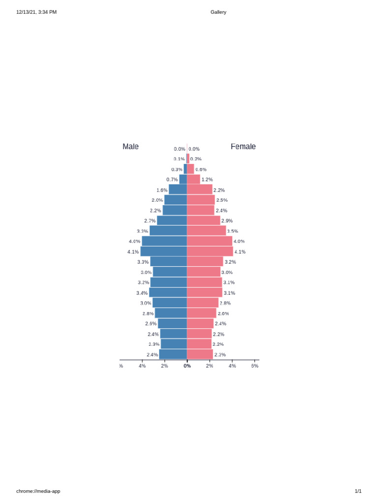 Population Pyramid | PDF