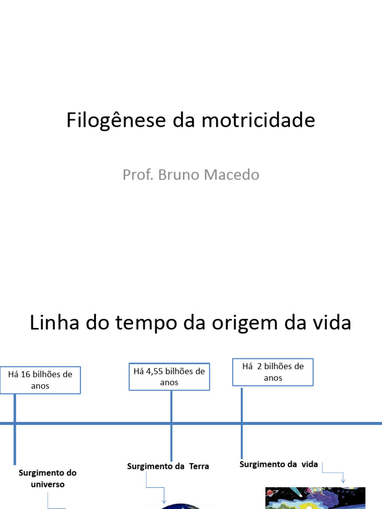 Filogênese Da Motricidade | PDF