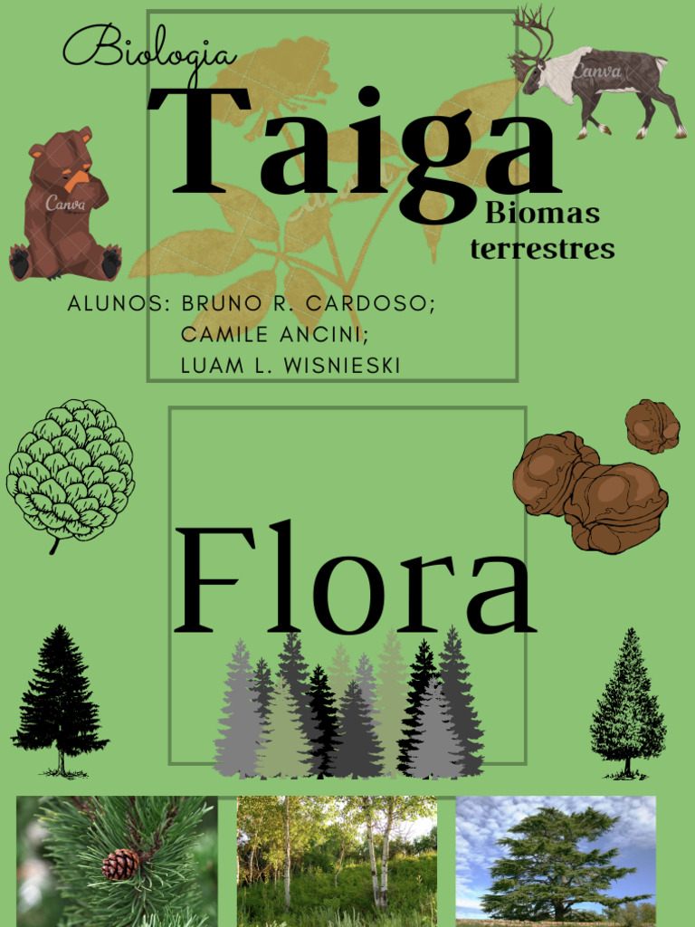 Taiga | PDF