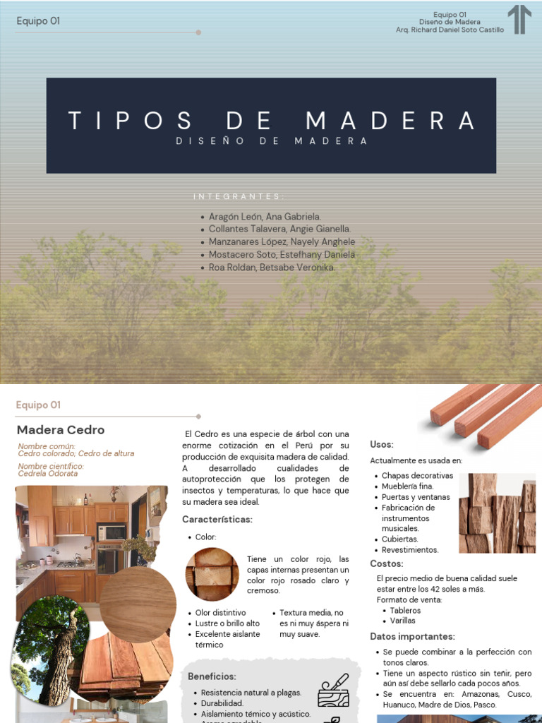 Maderas Peruanas | PDF