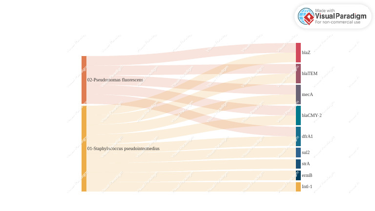 Sankey Diagram | PDF