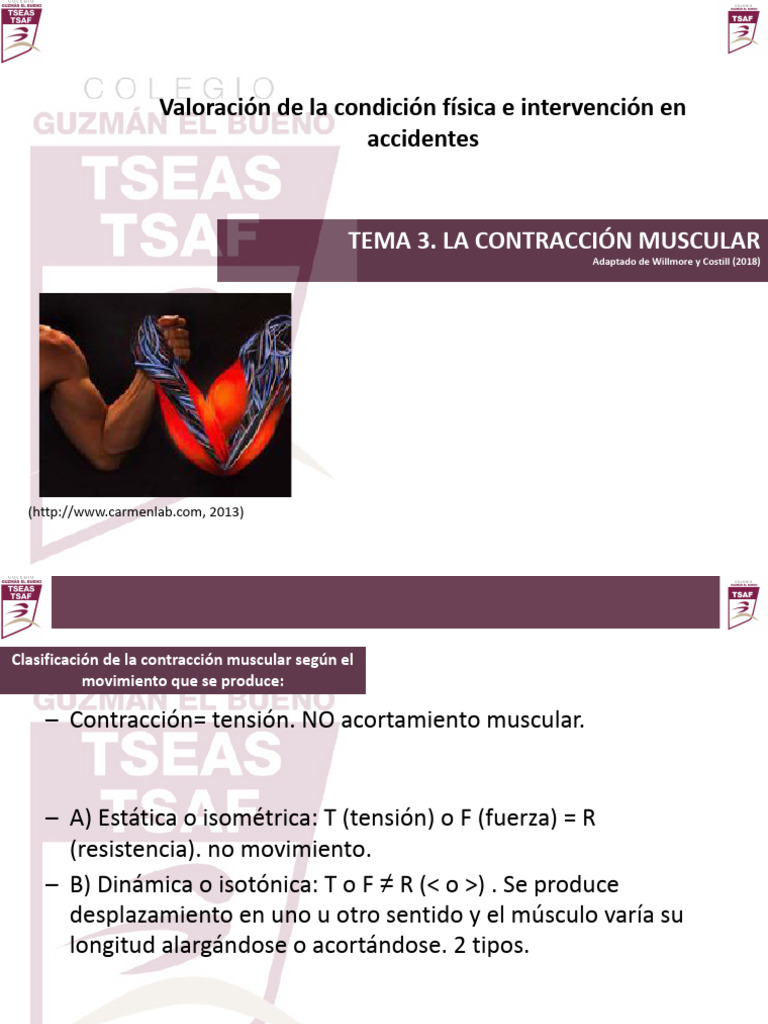 tema3.pptx (1) | PDF