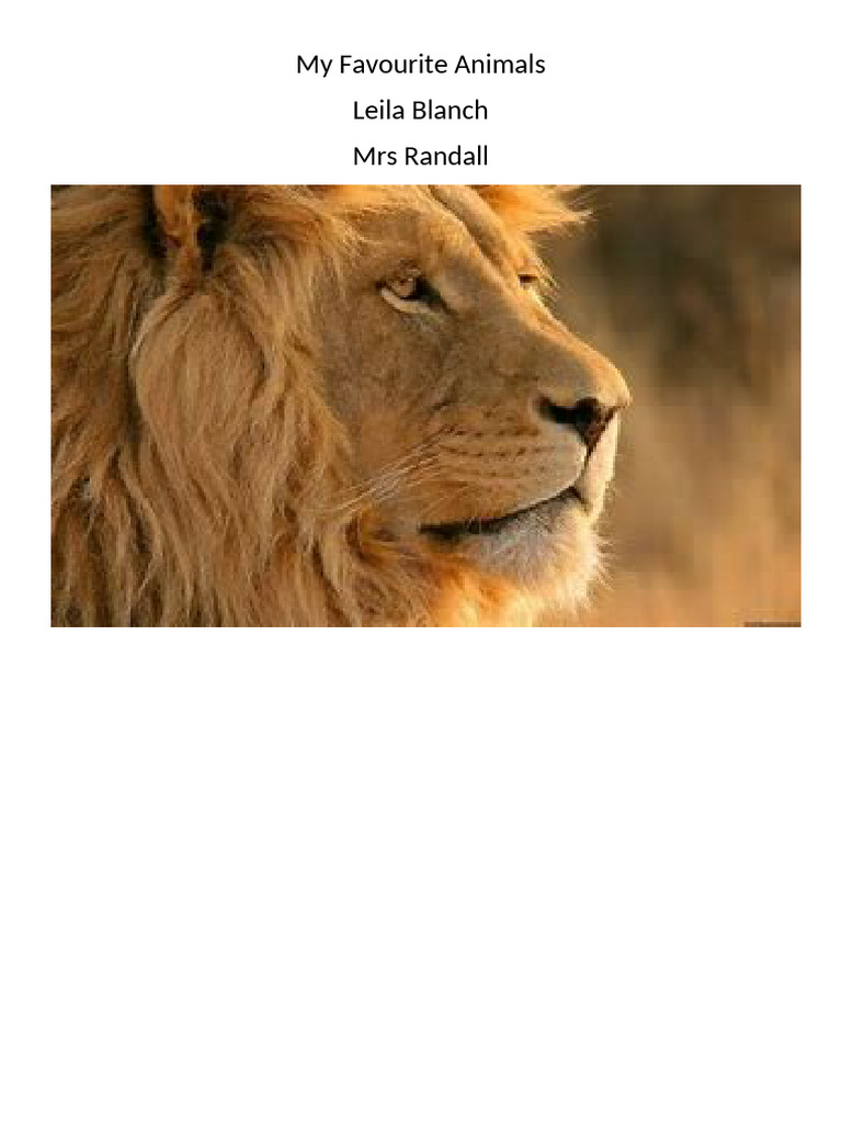 My Favourite Animals | PDF