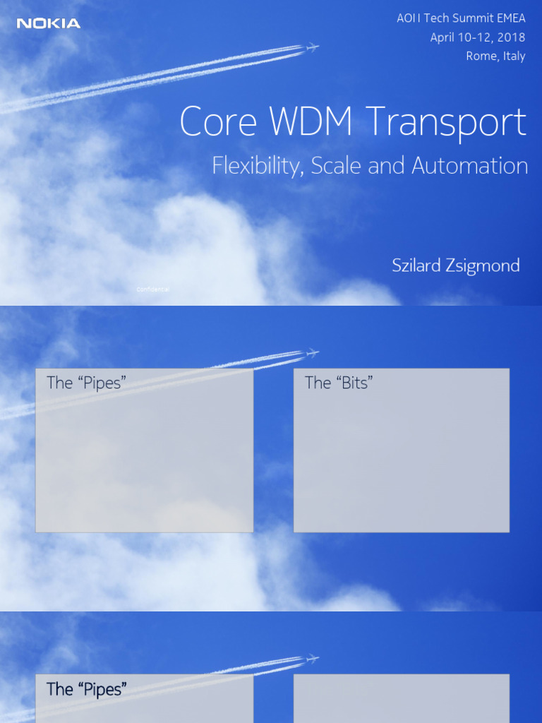 Core Wdm Transport Flexibility Scale And Automation Pdf