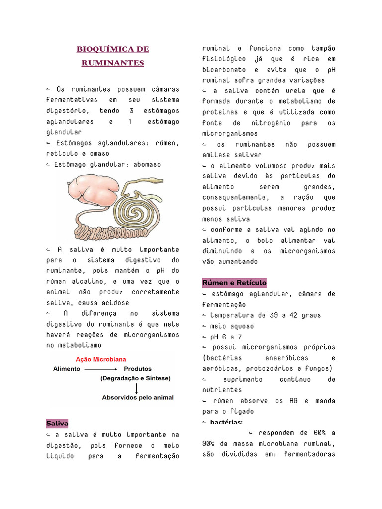 Bioquímica 2 | PDF