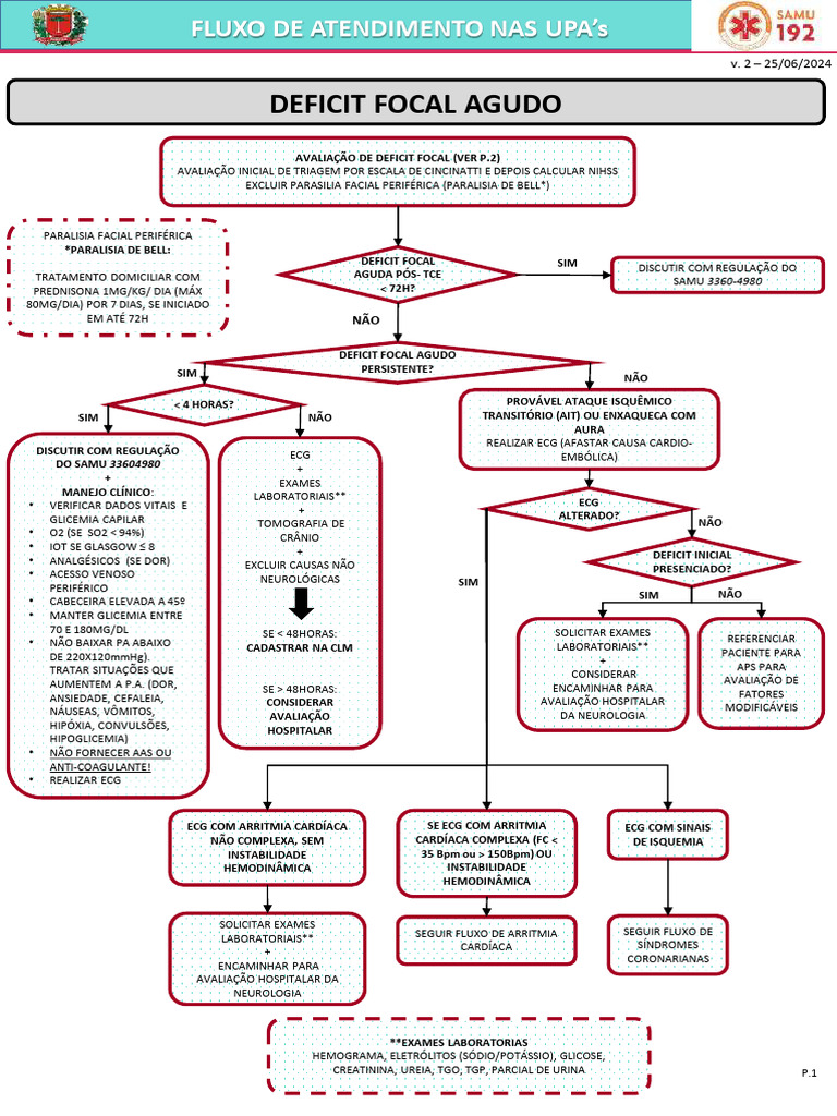 Deficit Focal Agudo | PDF | Sistema nervioso | Neurología