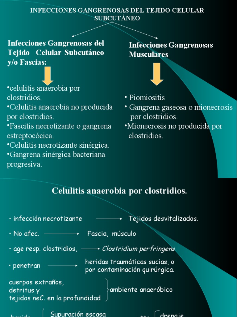 Presentación: Infecciones de La Piel y Tejidos Blandos | PDF | Staphylococcus Aureus | Microbiología