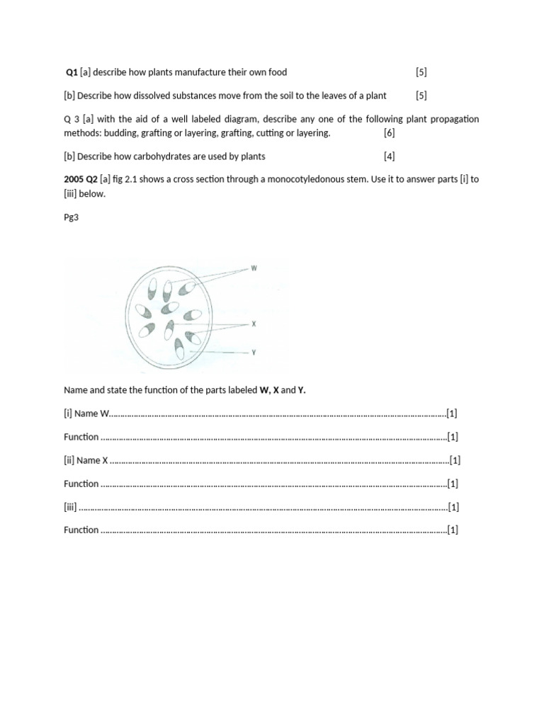 Module 2 Revision Structured Pdf