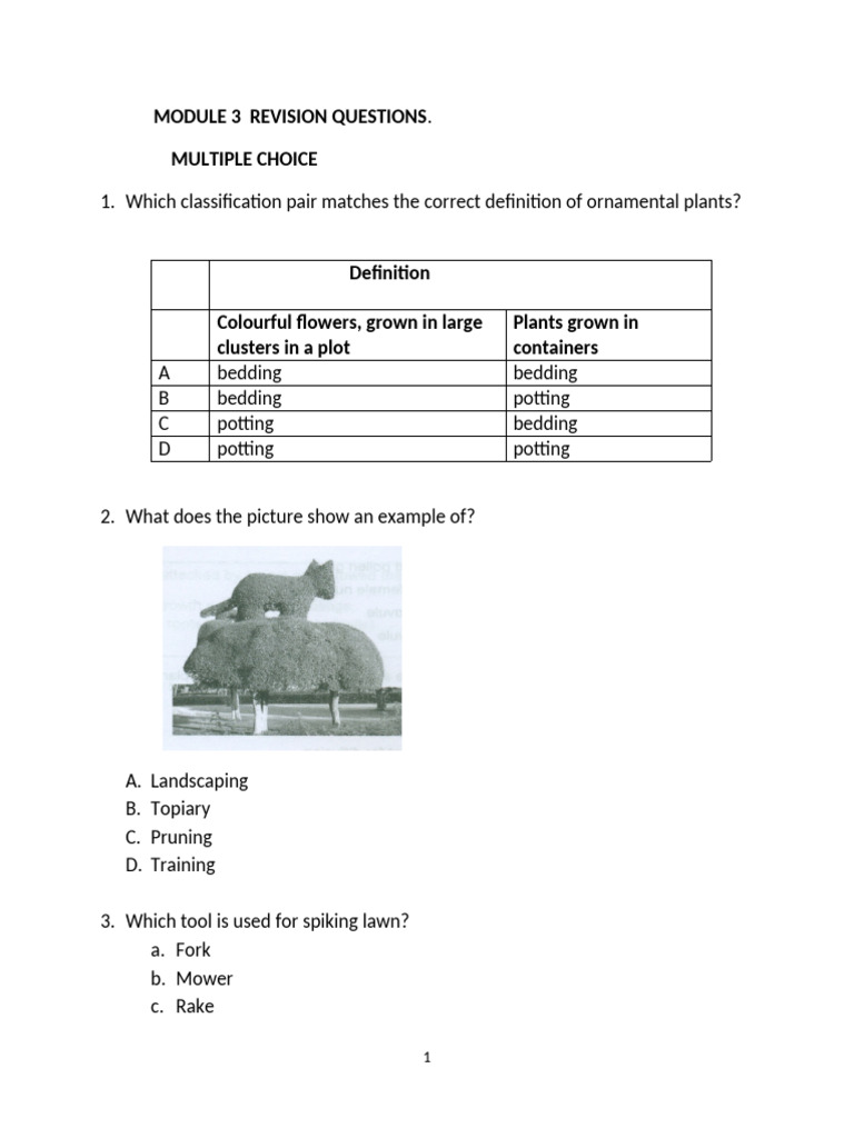 Module 3 Revision Questions | PDF