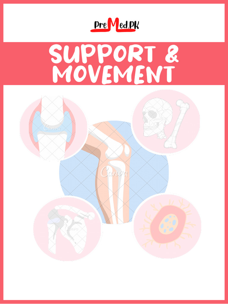 Support and Movement - PreMed | PDF