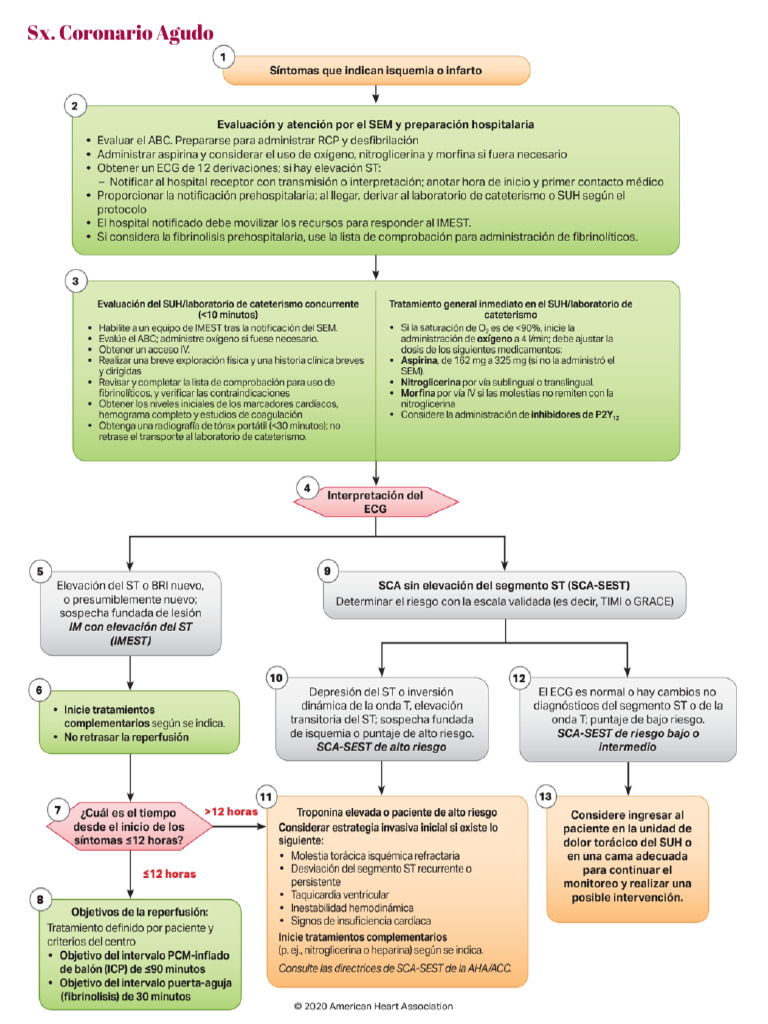 Algoritmo Sca Aha 2020 | PDF