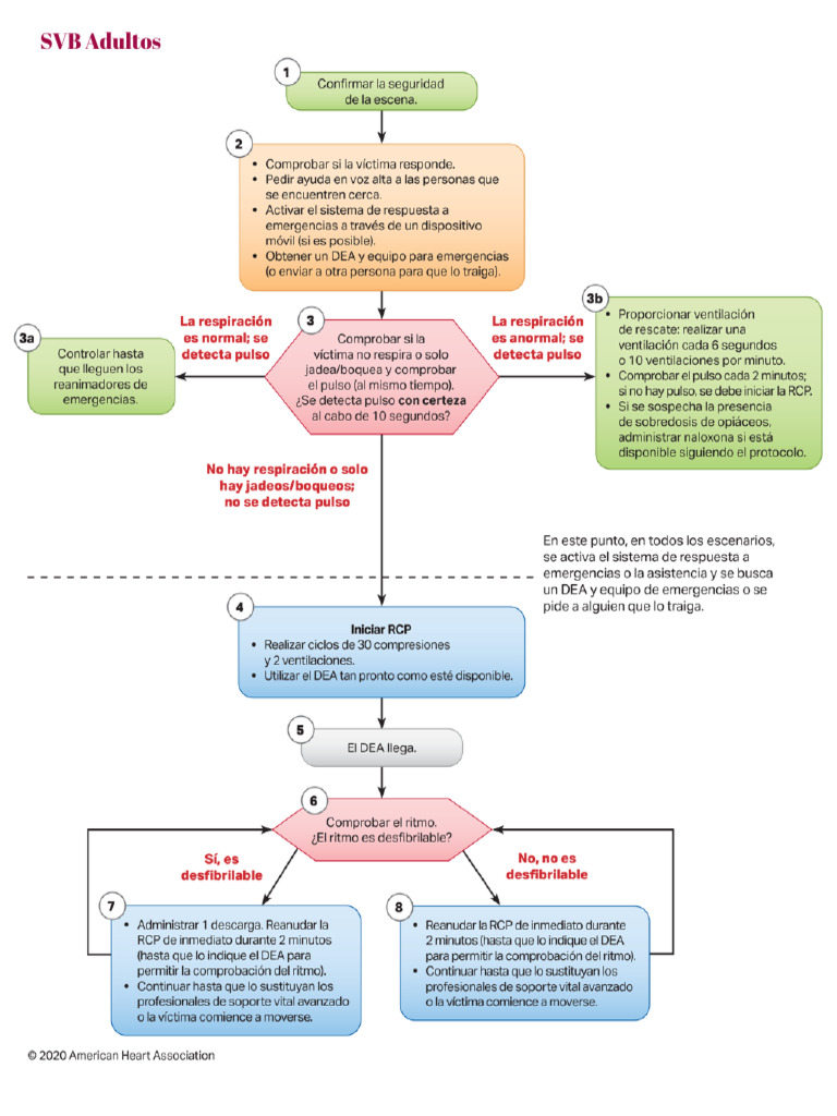 ALGORITMO SVB Adultos AHA 2024 | PDF