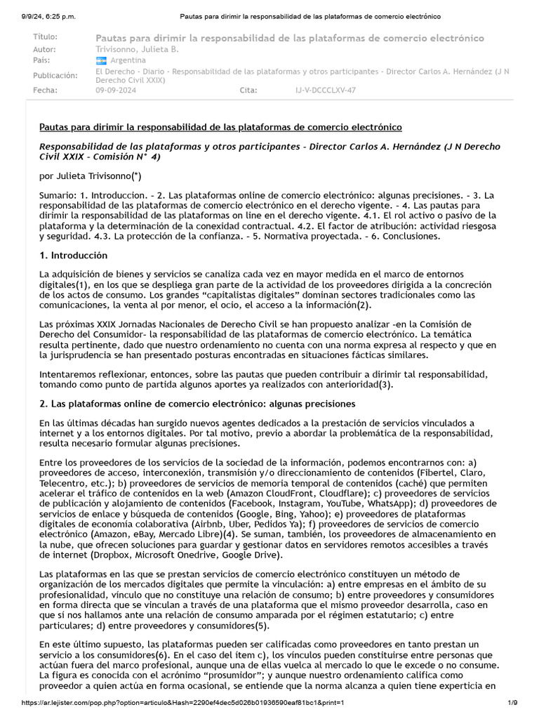 Pautas para Dirimir La Responsabilidad de Las Plataformas de Comercio ...