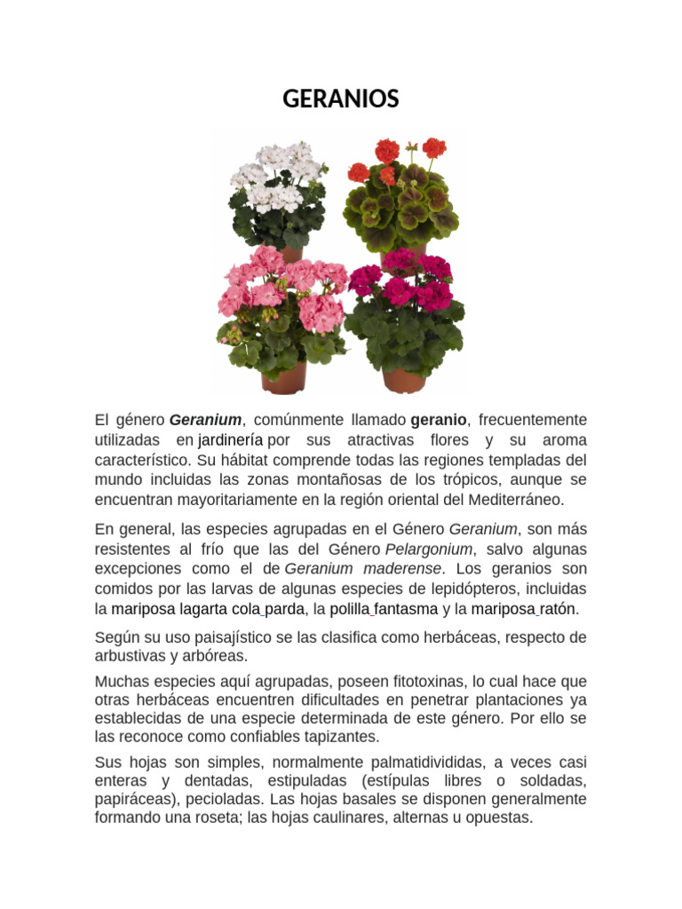 GERANIOS | PDF