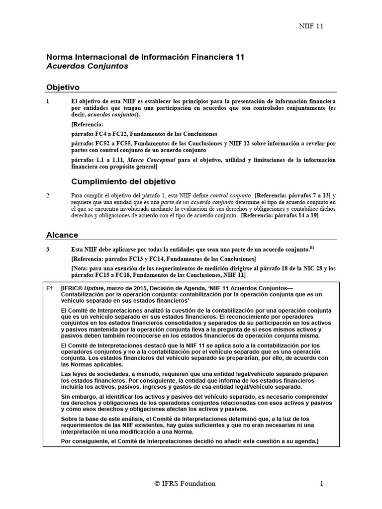 Niif 11 Bv2024 Irach | PDF