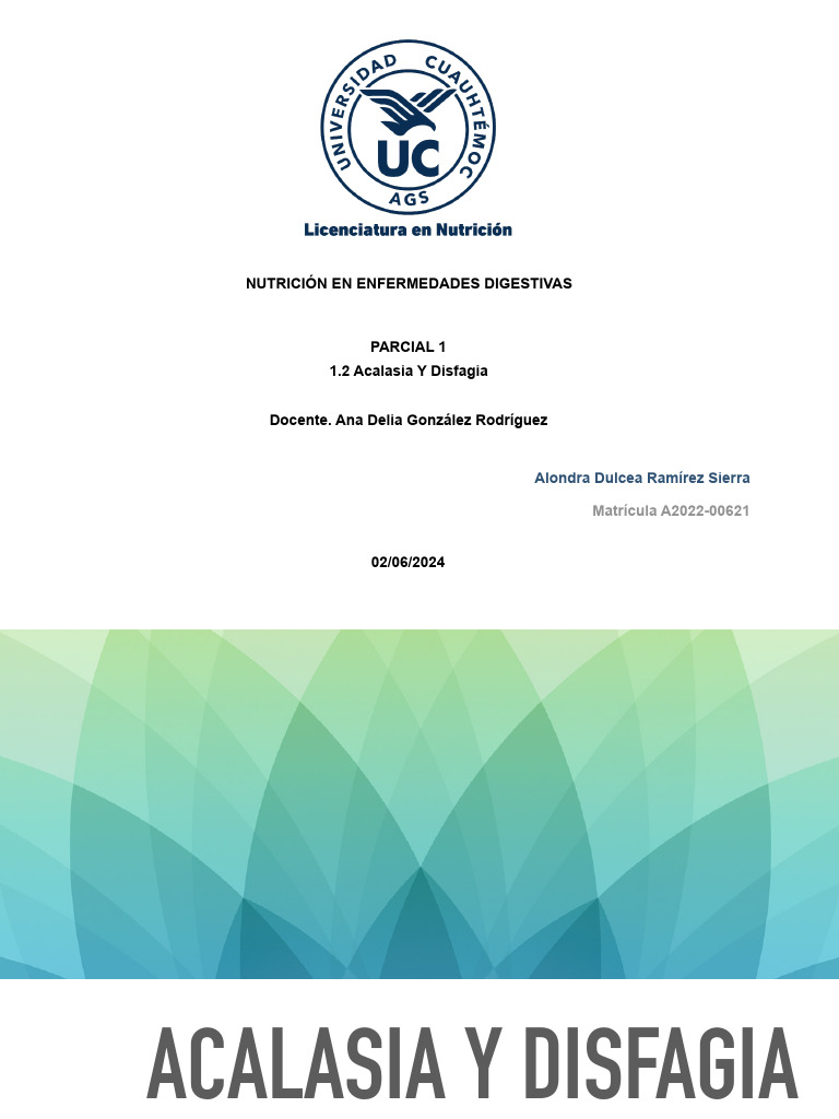 Ned - 1.2 | PDF