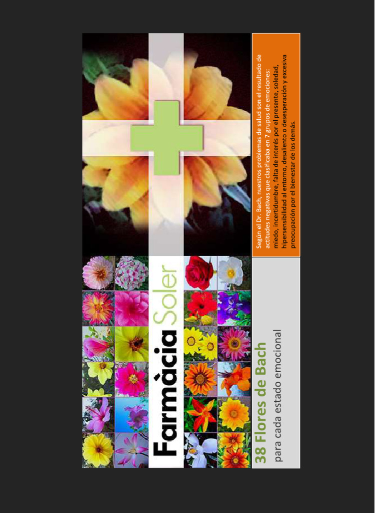38 Flores de Bach para Cada Estado Emocional | PDF