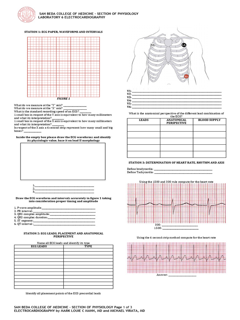 CARDIO LAB 2024 Guide | PDF