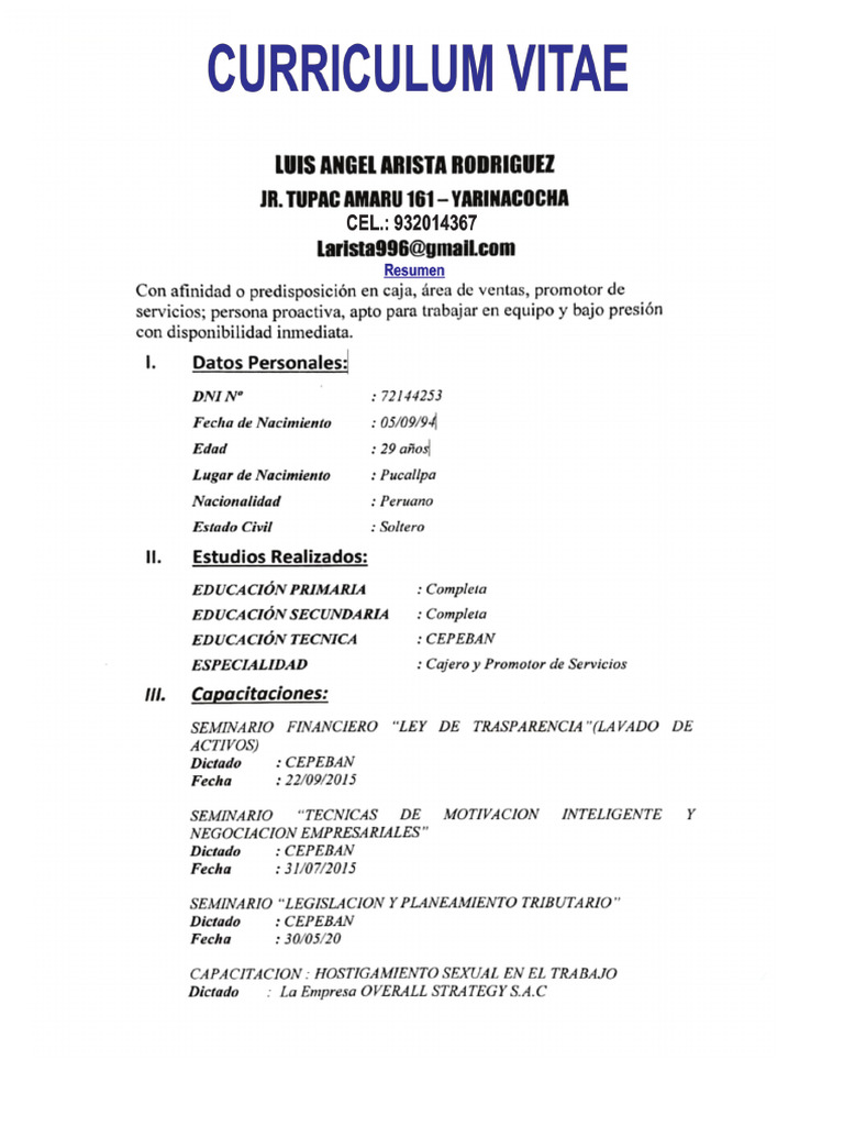 CV luis angel | PDF