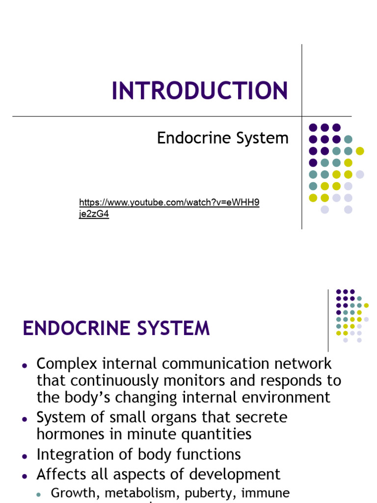 Endocrine System | PDF