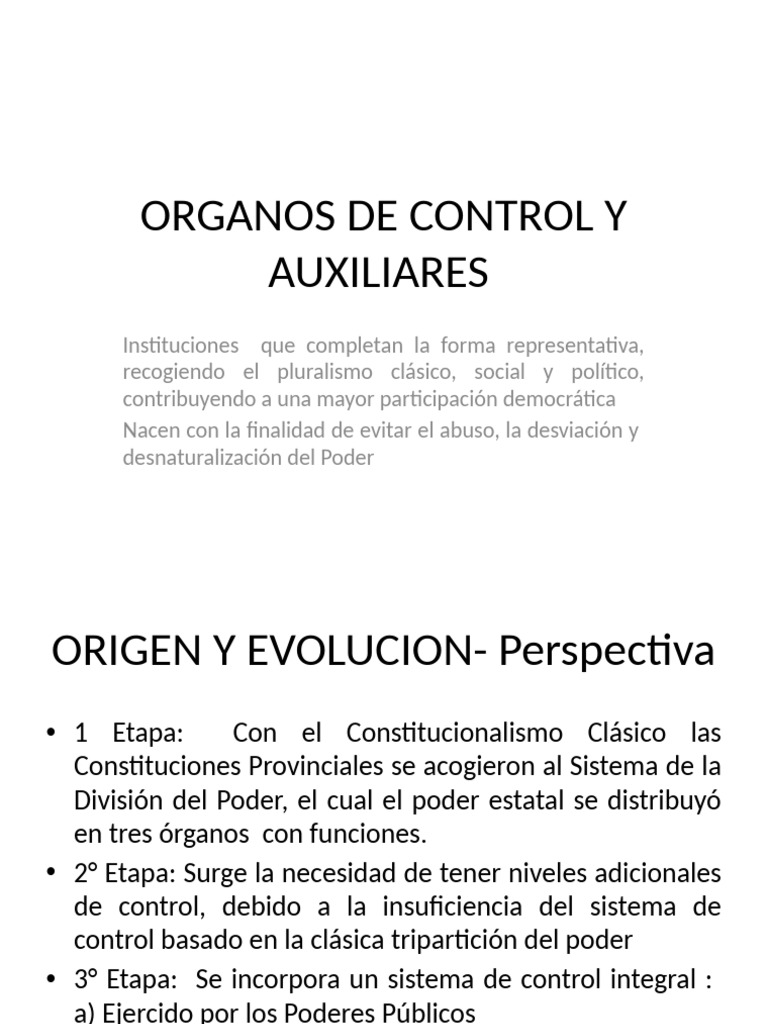 Organos de Control y Auxiliares | PDF
