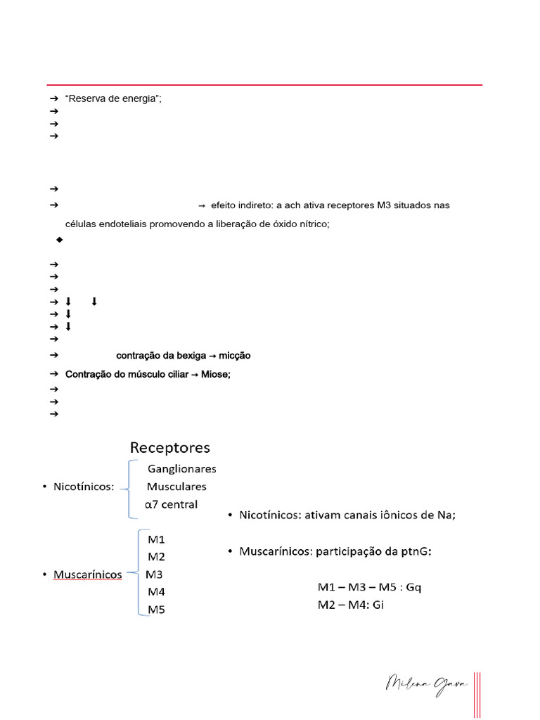 Sna Colinérgico | PDF