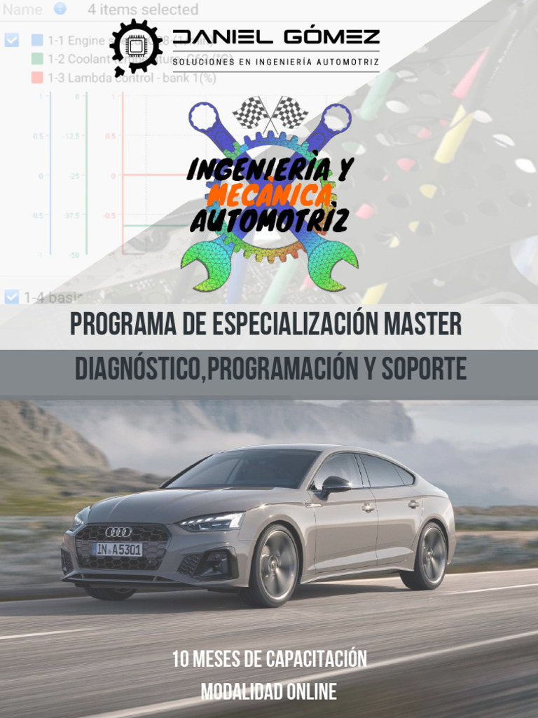 Programa Master Multimarcas | PDF